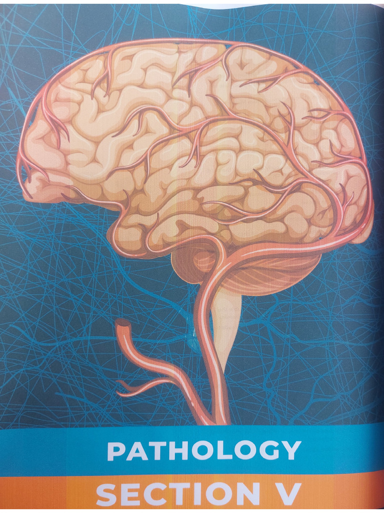 Inerd CNS Patho MCQ | PDF