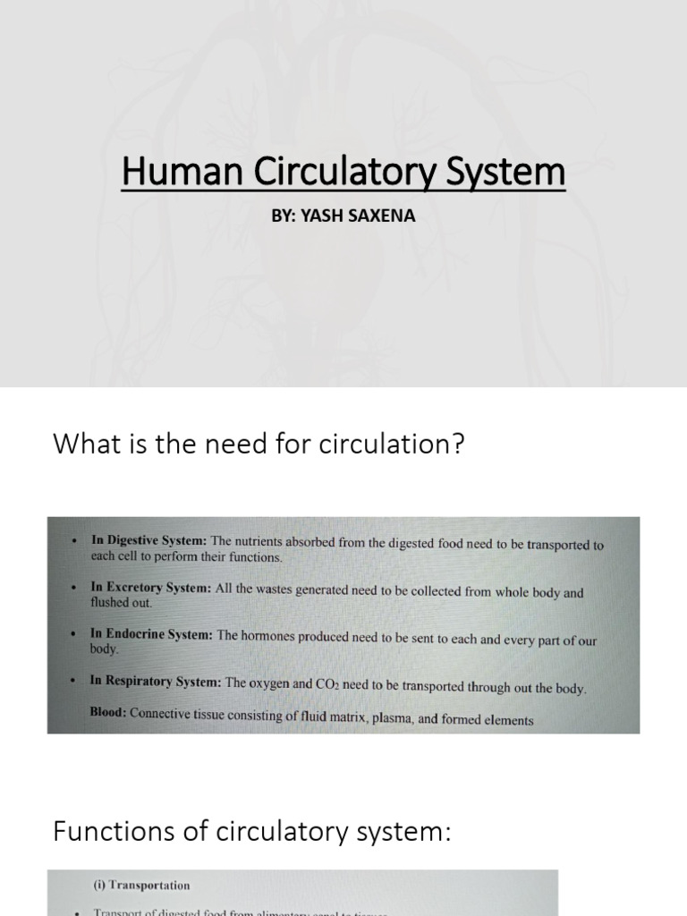 Human Circulatory System Notes | PDF