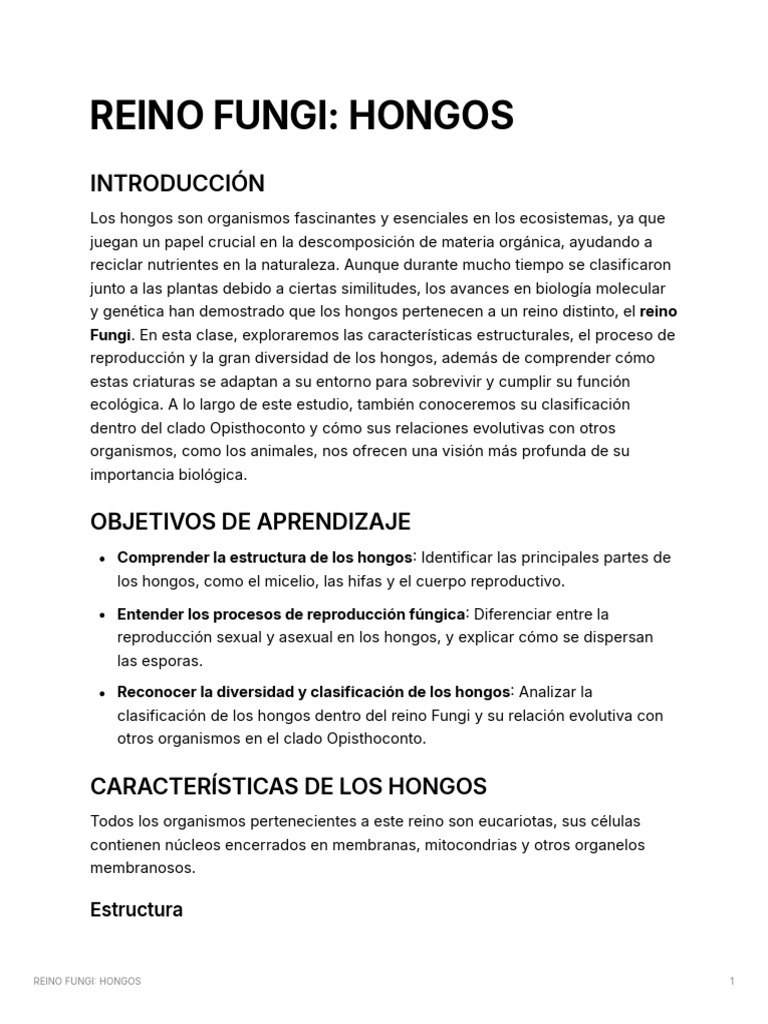 Introducción al Reino Fungi: Hongos | PDF | Hongo | Plantas