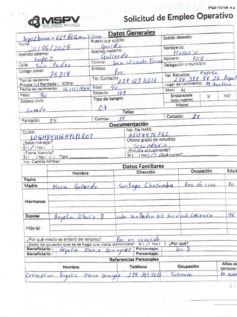 Solicitud Horacio Lopez Gallardo | PDF