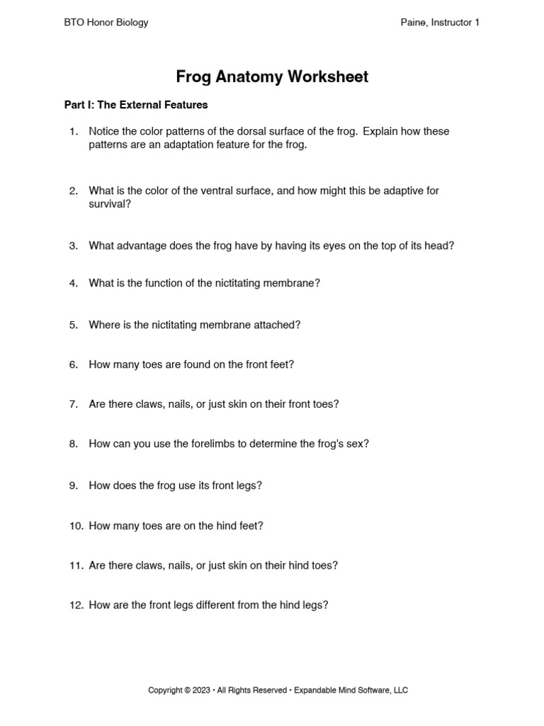 Frog Dissection Worksheets | PDF | Frog | Digestion