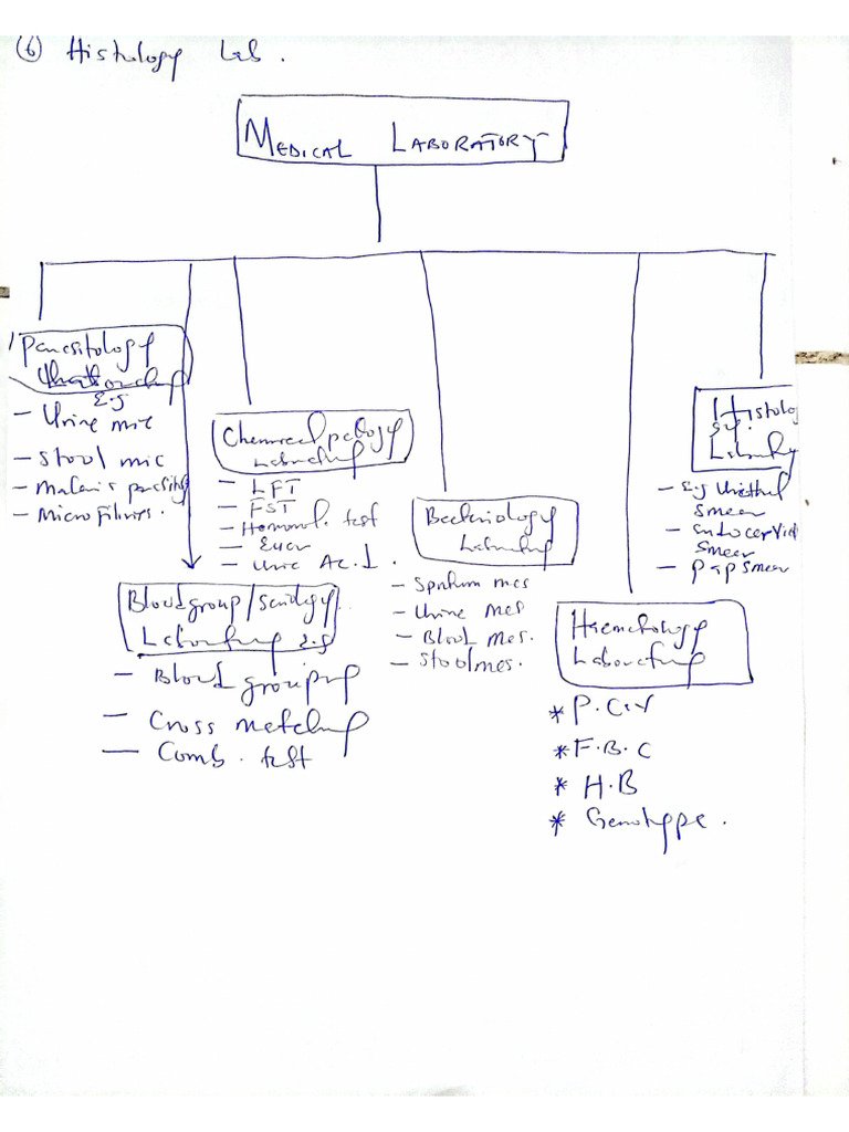 Lab | PDF
