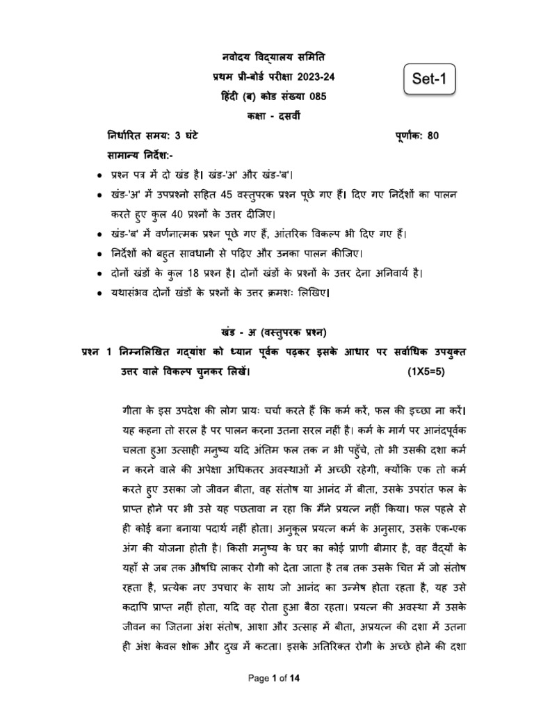 10 Hindi Elective 085 Pre Board Exam I Nvs 2023 24 | PDF