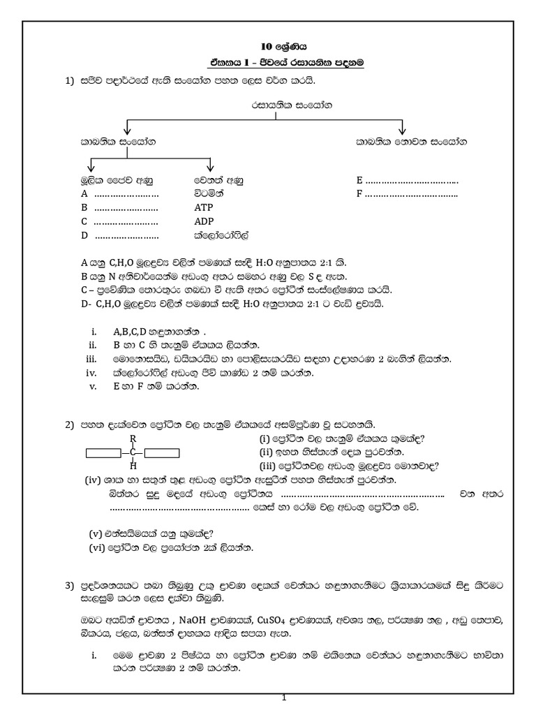 Grade 10 Science Workbook - Galle Education Zone 1 2020 Pages | PDF