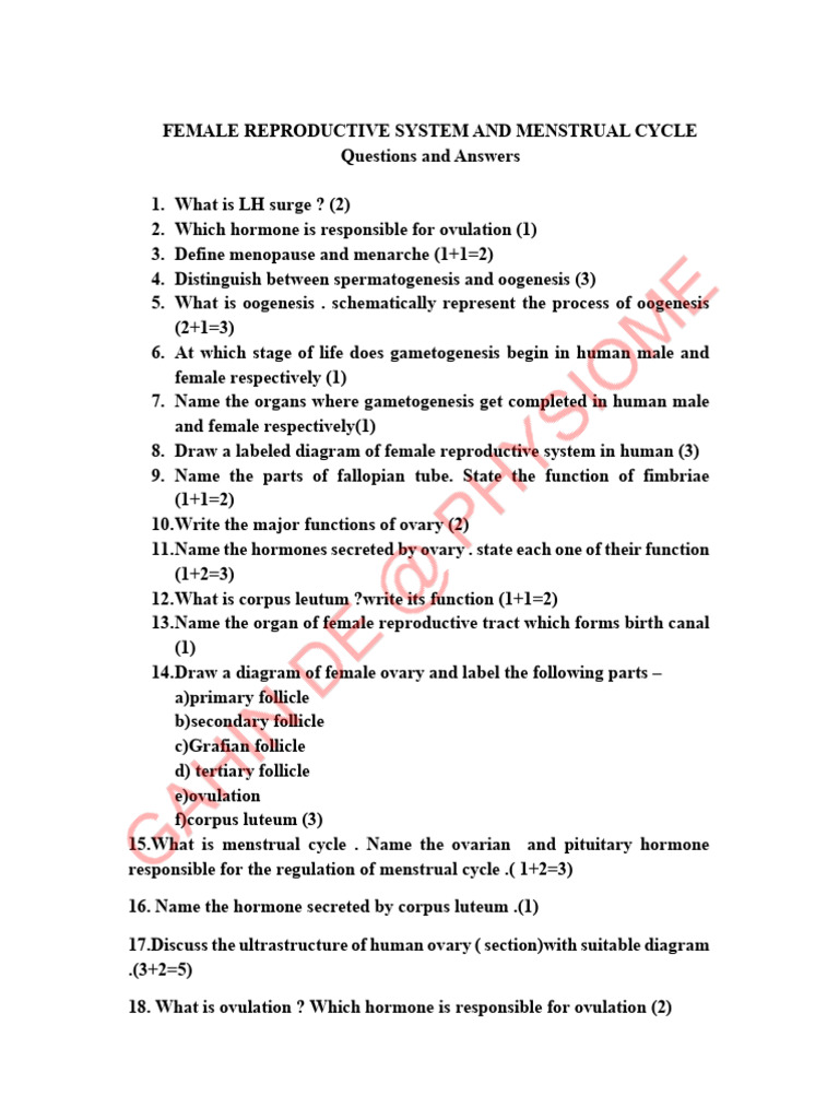 Female Reproductive System Q&A Guide | PDF | Menstrual Cycle | Ovary