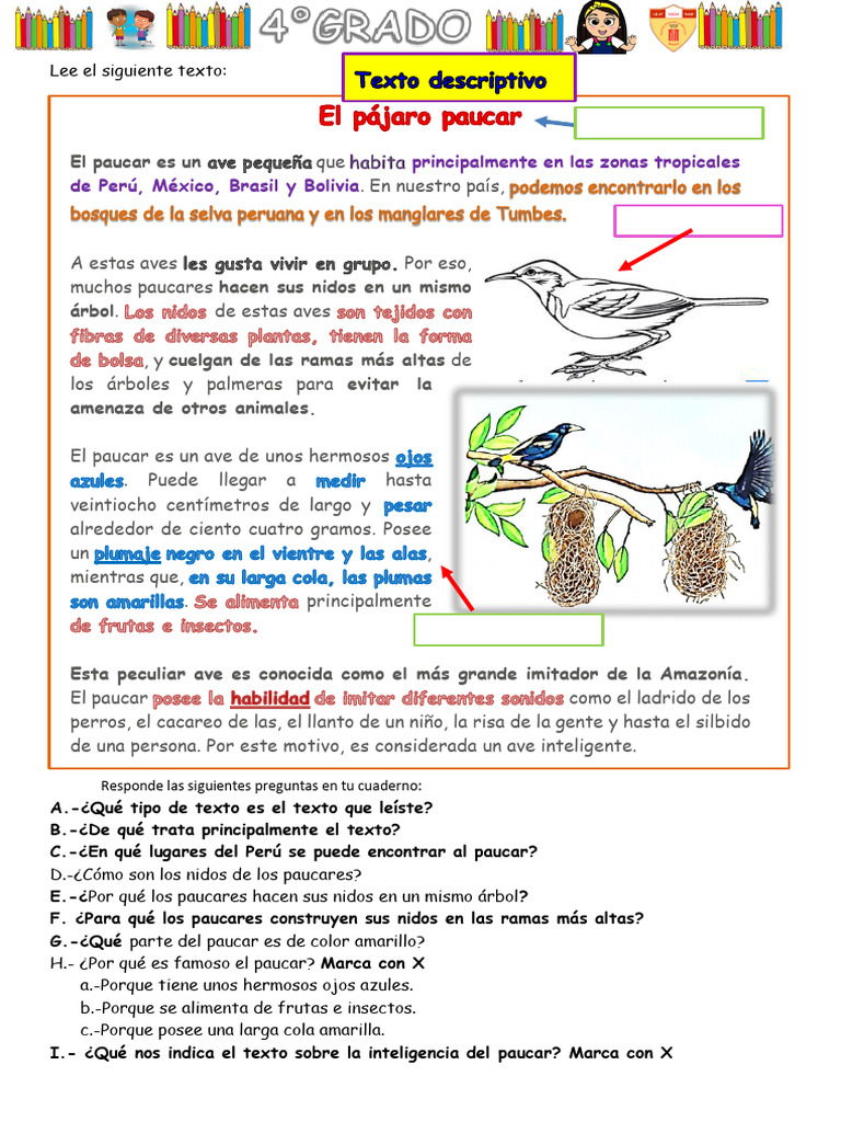 FICHA 4-Leemos La Descripcion de Un Animal | PDF | Conejillo de indias ...