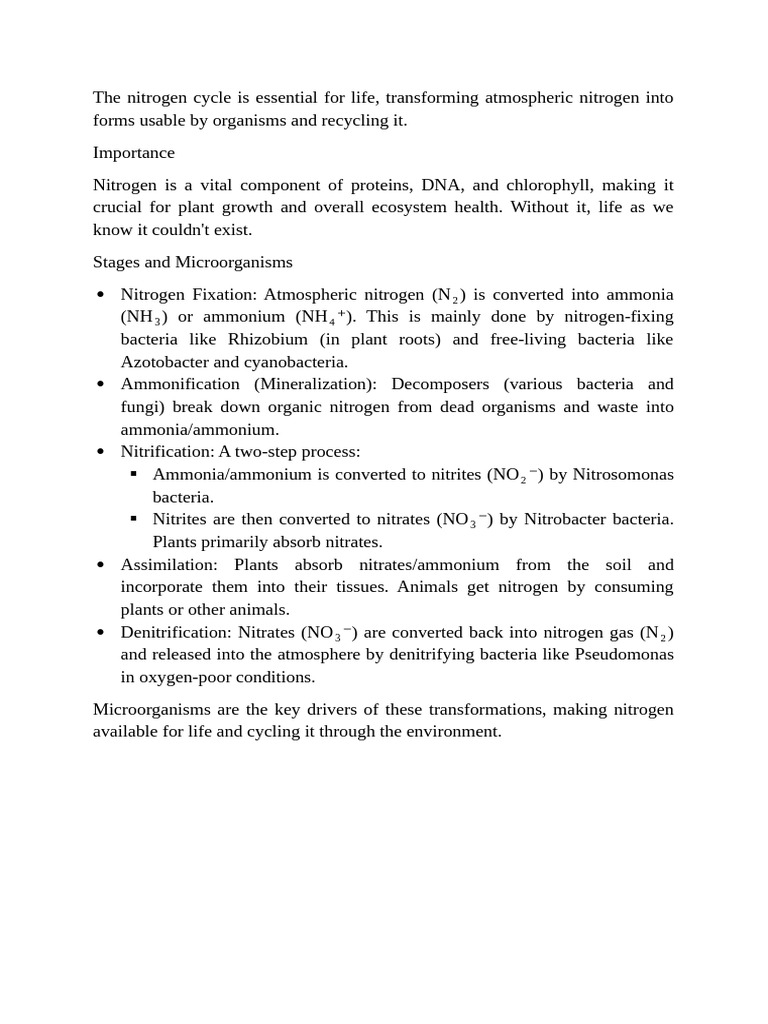 Understanding the Nitrogen Cycle | PDF