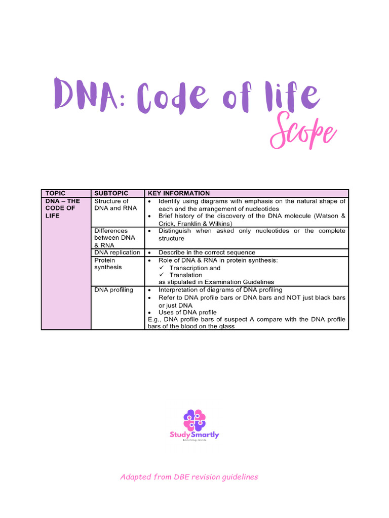 DNA Code of Life Summary | PDF | Rna | Dna