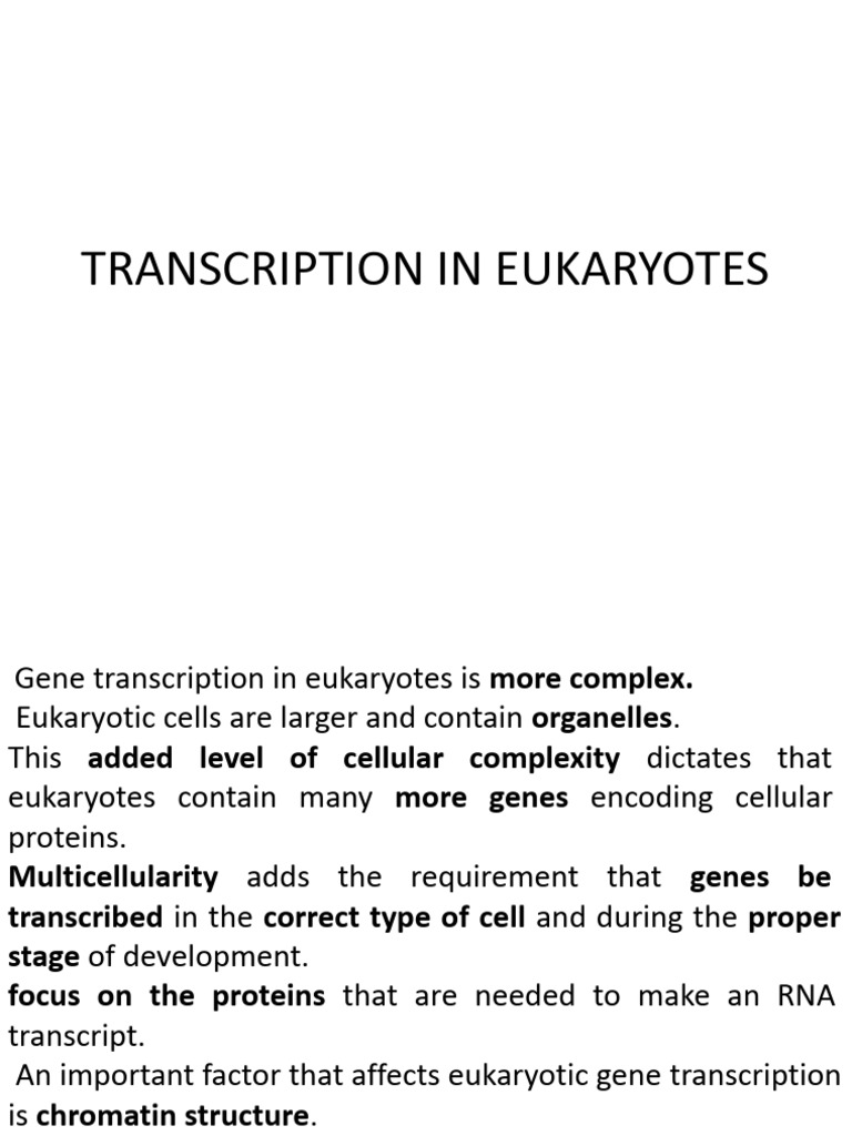 Eukaryotic Transcription | PDF | Rna | Gene