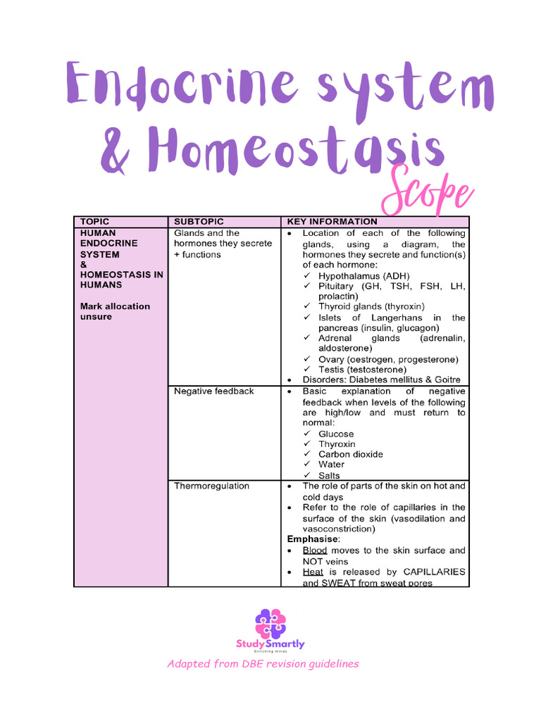 Endocrine System and Homeostasis | PDF | Endocrine System | Homeostasis