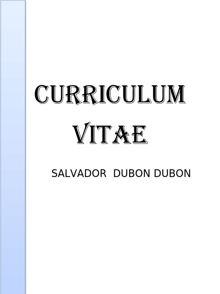 Curriculum Dany | PDF