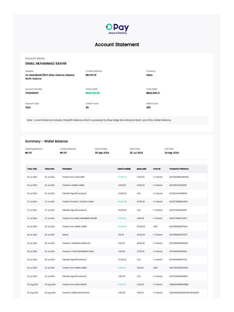 Account Statement Summary for Ismail Bashir | PDF | Debits And Credits ...