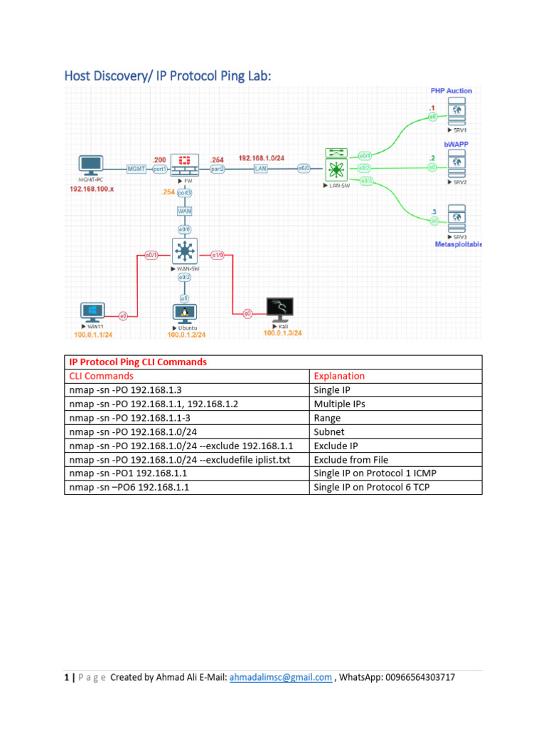 34-IP Protocol Ping Lab | PDF