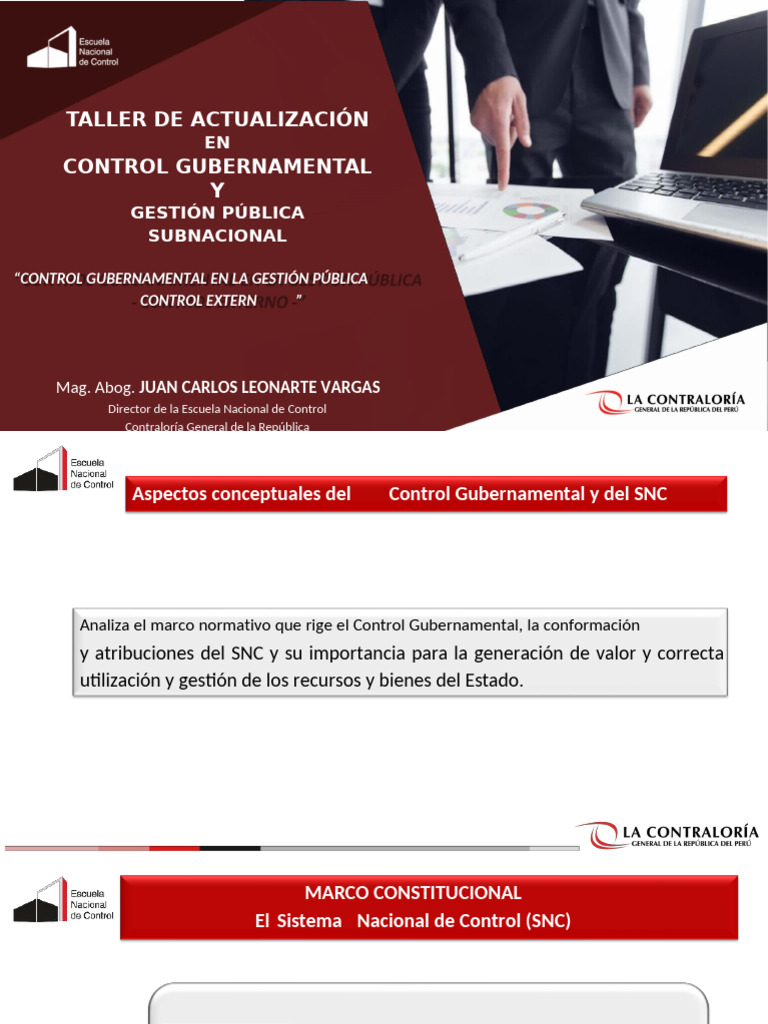 Control Gubernamental en La Gestion Publica | PDF | Auditoría | Administración Pública