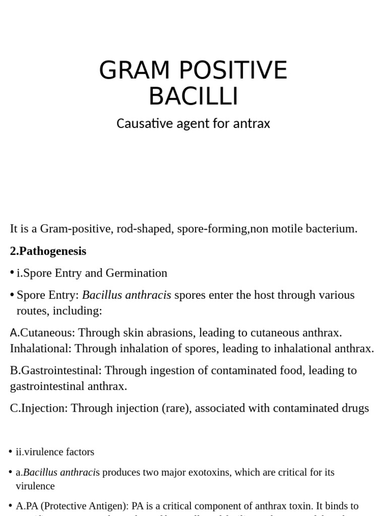 Gram Positive Bacilli Lecture | PDF | Anthrax | Botulinum Toxin