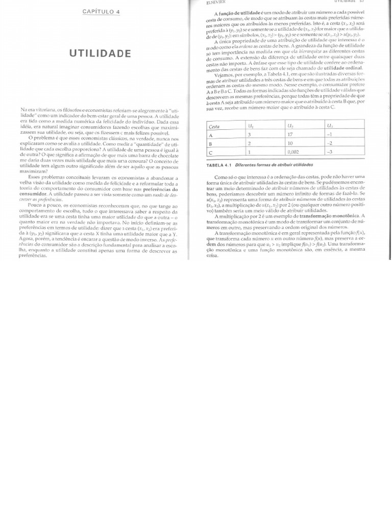 Varian Cap4 Utilidade | PDF
