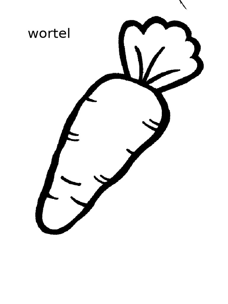 Wortel | PDF