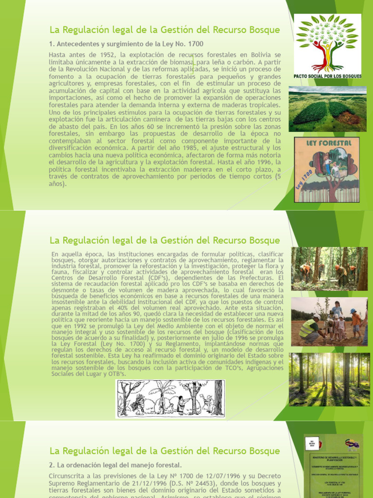 La Regulación Legal de La Gestión Del Recurso Bosque DIC | PDF | Los bosques | Agricultura