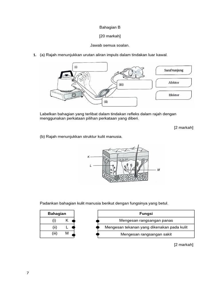 UPSA SAINS F3 Bahagian B 2025 | PDF