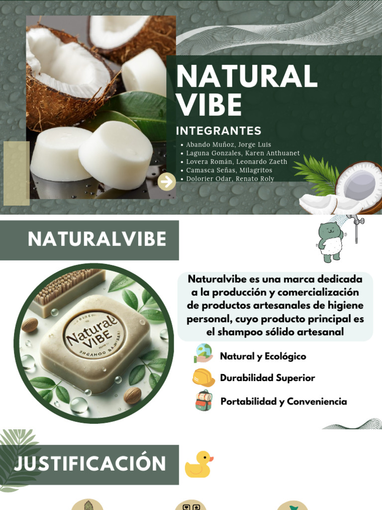 Natural Vibe | PDF | Producto (Negocio) | Sustentabilidad