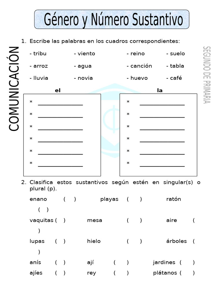 Ficha de Genero y Numero Del Sustantivo para Segundo de Primaria | PDF