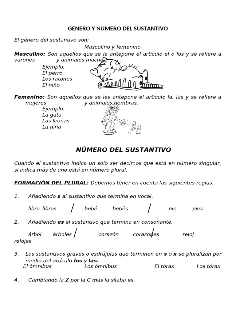 Género y Número del Sustantivo | PDF | Sustantivo | Lingüística