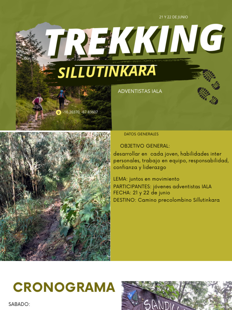 Healthy Foody - 20250617 - 114312 - 0000 | PDF