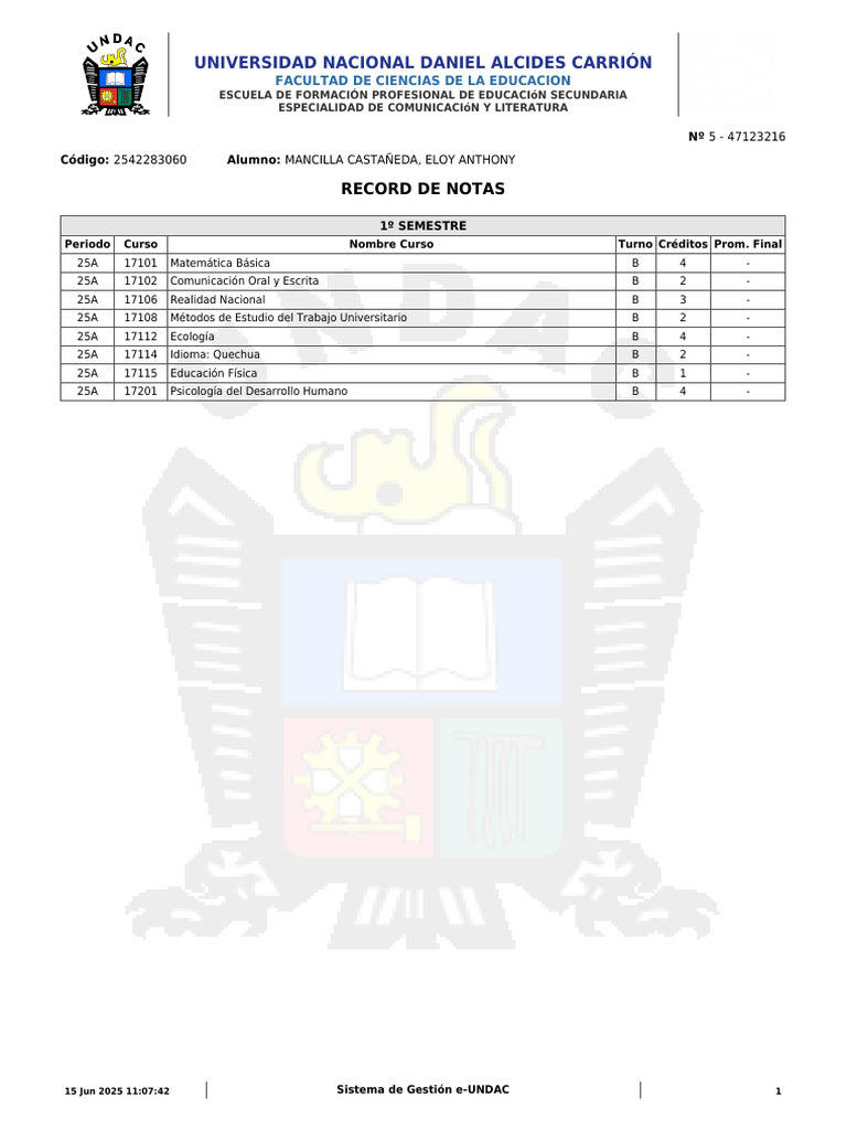 RecordNotas - 61232174 | PDF