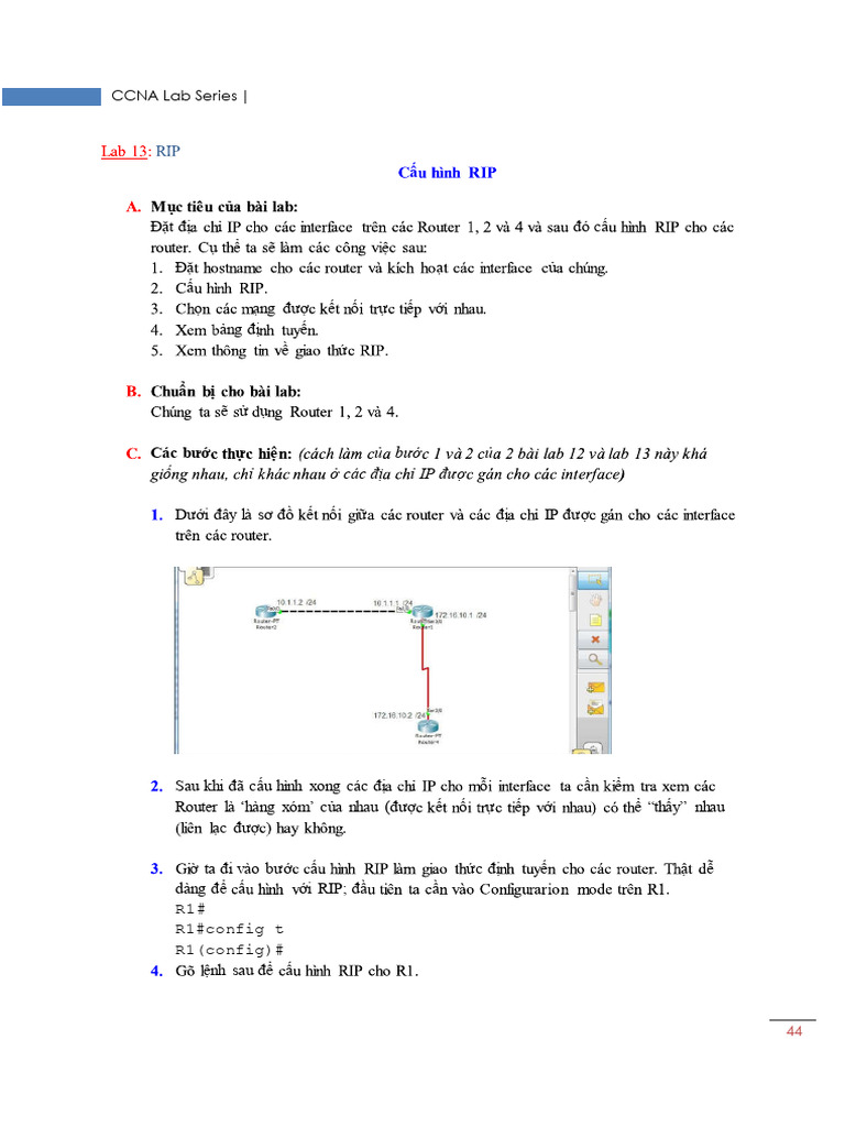 B8_CLC_Lab2_ RIP | PDF