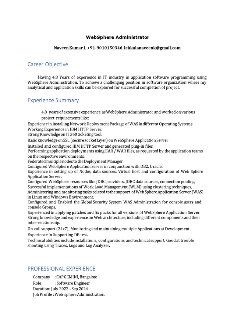 Naveen Wasp Profile | PDF