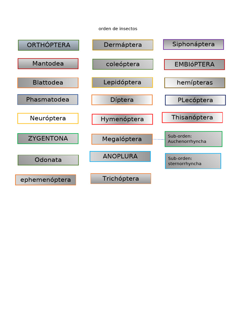 Clasificación de Órdenes de Insectos | PDF