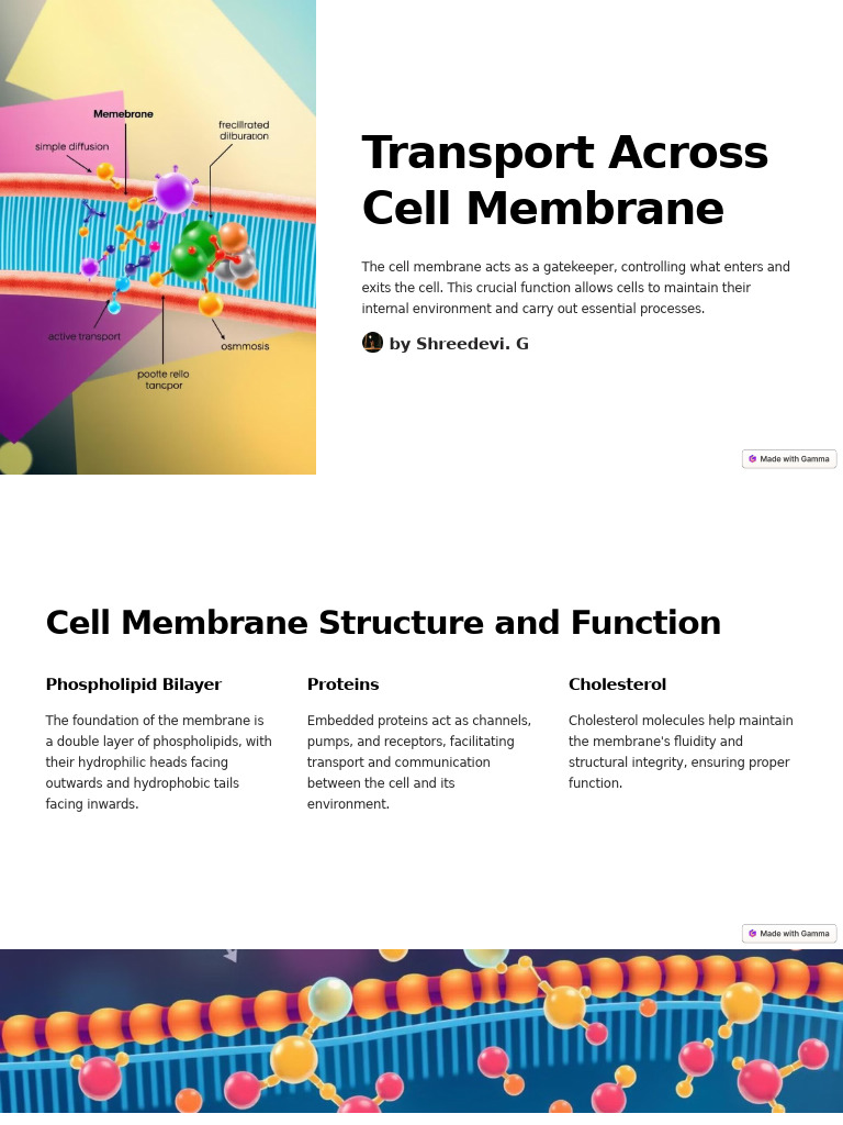 Transport Across Cell Membrane | PDF | Cell Membrane | Cell (Biology)