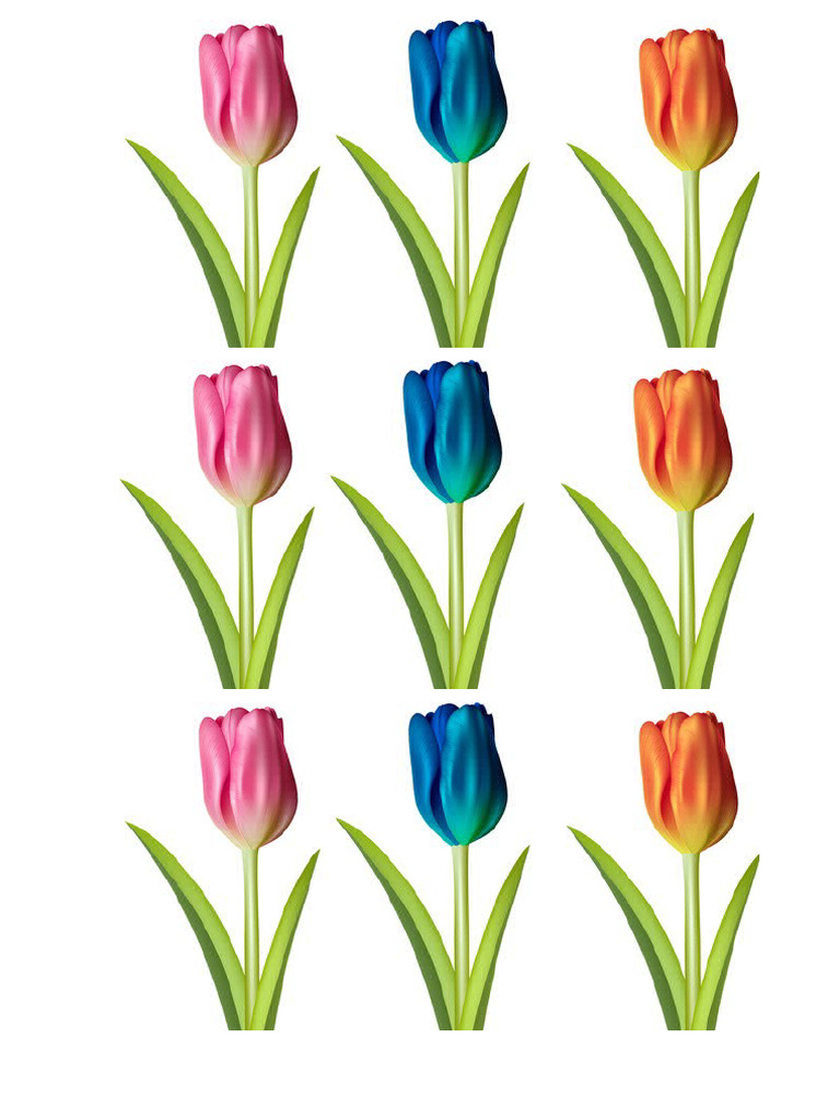Bunga Tulip | PDF