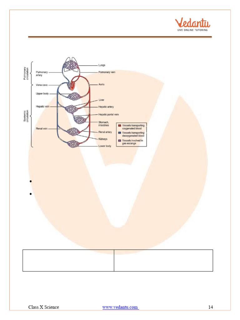 NCERT Solutions For Class 10 Science Chapter 5 Life Processes - Free PDF Download-1!16!14 | PDF
