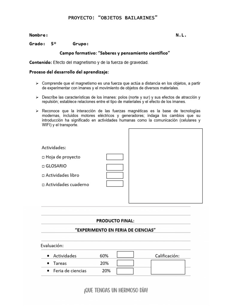 Efectos del Magnetismo y Gravedad | PDF