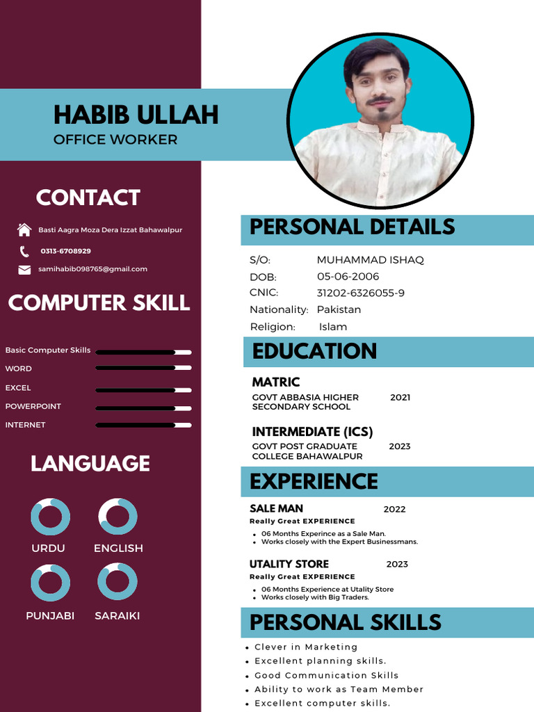 Essential Computer Skills Overview | PDF