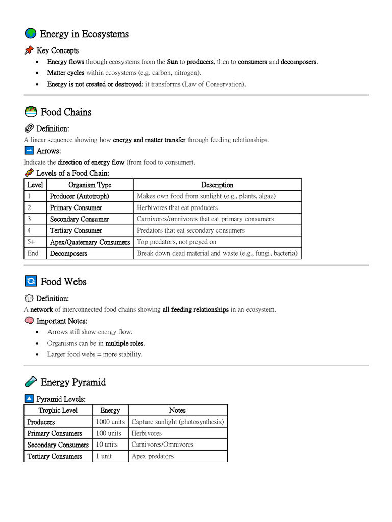 ? Energy in Ecosystems | PDF | Food Web | Ecosystem