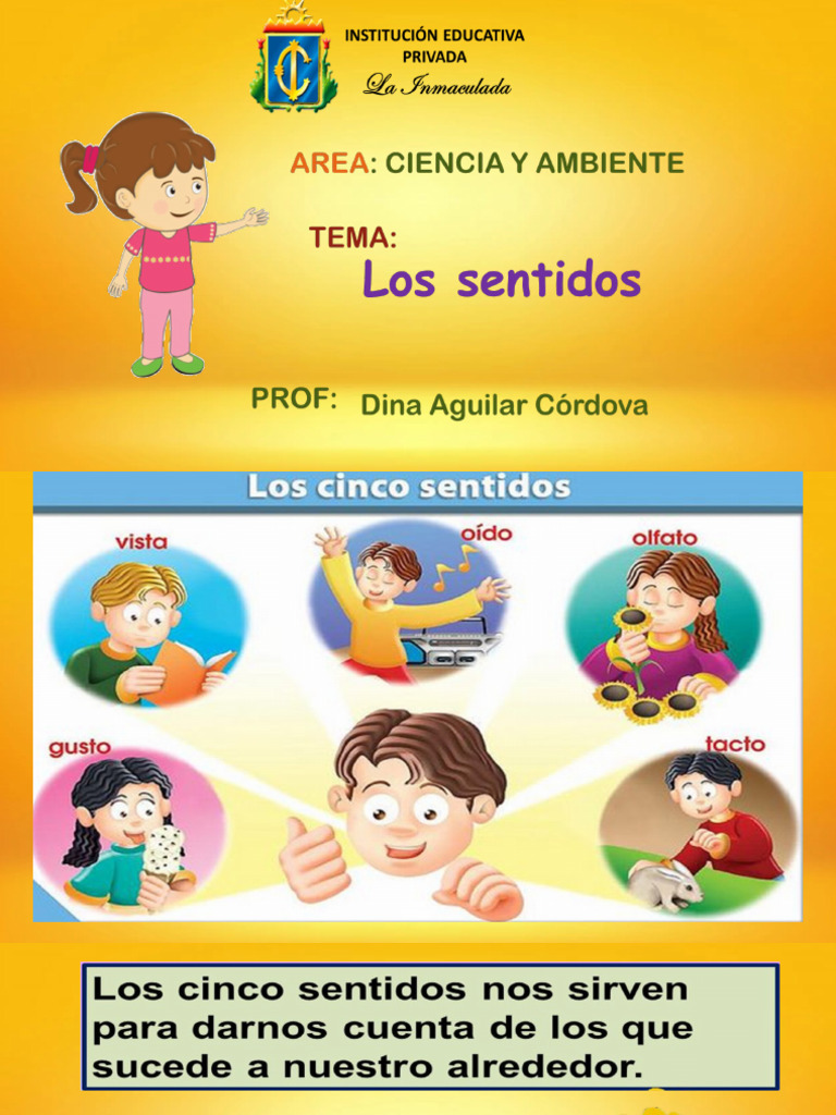 Diapositiva Tema Los Sentidos Unidad II | PDF