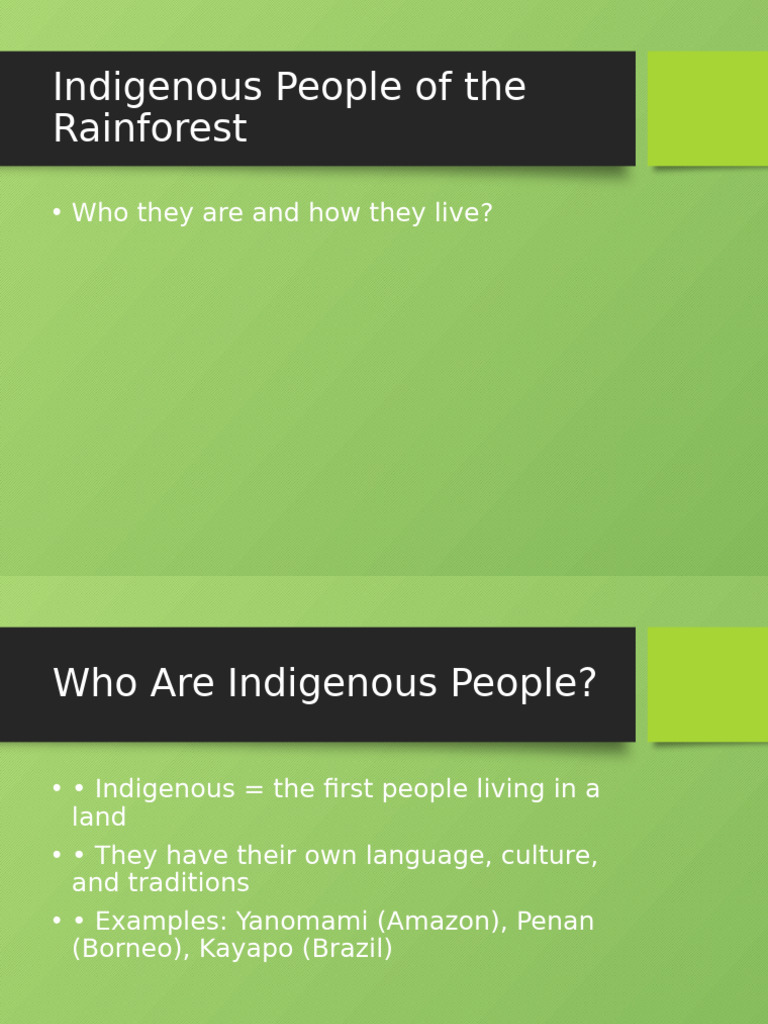 Indigenous People Rainforest | PDF