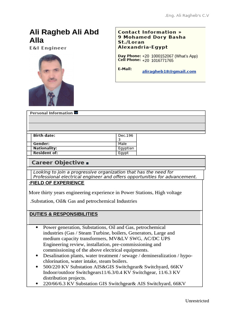 Electrical Eng Ali Ragheb CV - Updated - 6.25 | PDF | Electric Power ...