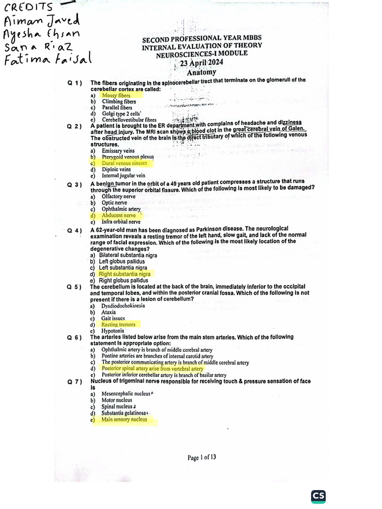 Neuro D28 | PDF
