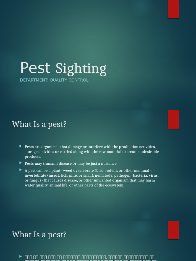 Pest Sighting | PDF