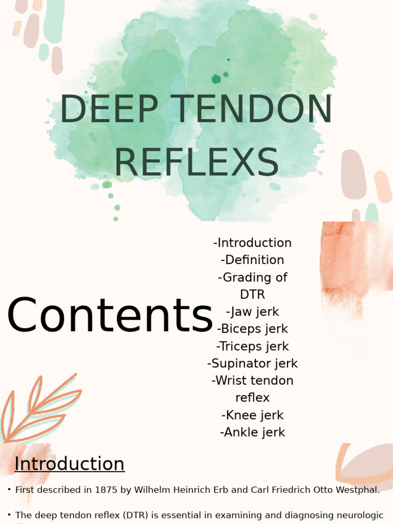 Deep Tendon Reflexs | PDF | Anatomical Terms Of Motion | Elbow