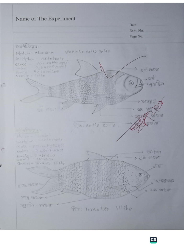 Biology 2nd Paper Practical Guide | PDF