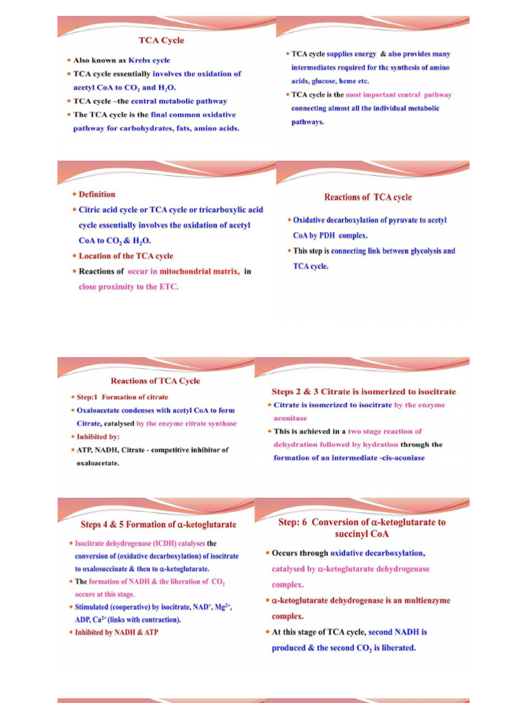 Tca Cycle | PDF