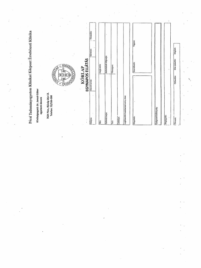 Egynapos Kórlap | PDF