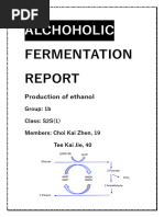 Lab Report - Fermentation | PDF | Fermentation | Yeast