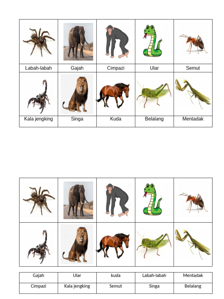 Gambar Haiwan Membiak | PDF