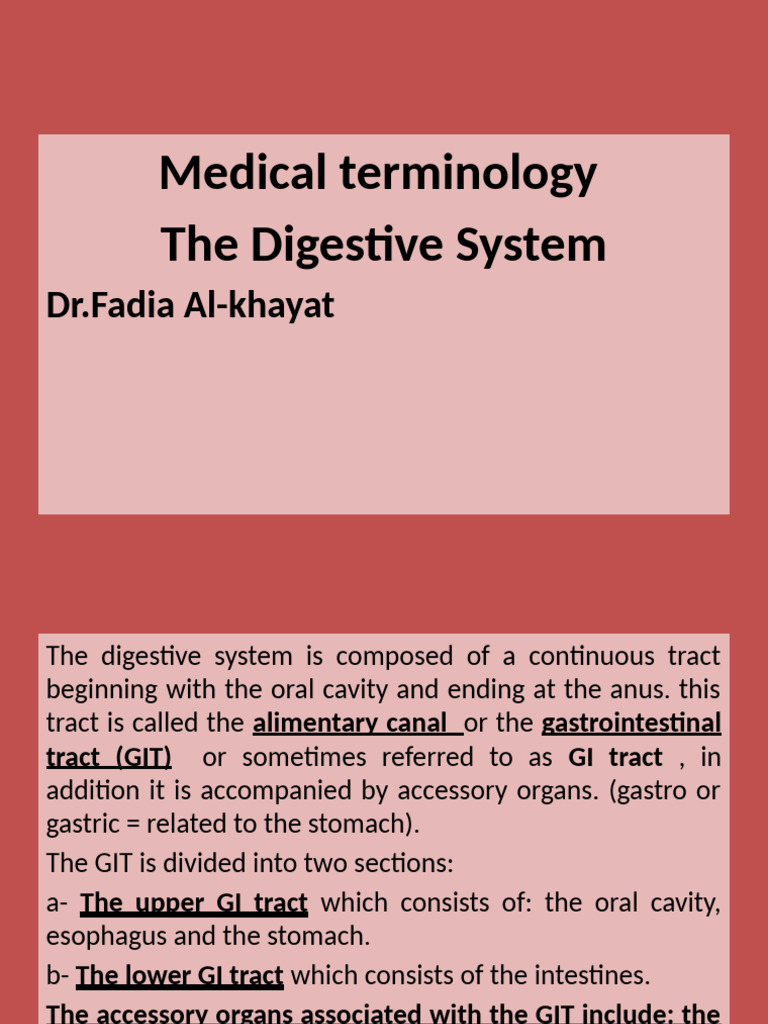 Digestive System Medical Terminology | PDF | Gastrointestinal Tract ...