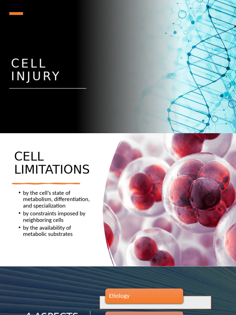 Understanding Cell Injury Mechanisms | PDF | Necrosis | Dna Repair